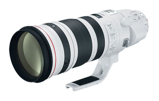 キヤノンが「RF150-600mm F5-6.3 L IS USM」「RF200-400mm F4 L IS USM」「RF200-500mm ...